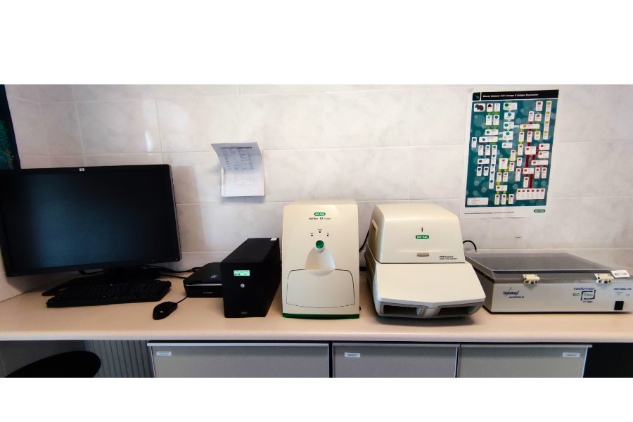 Badania zlecone - Urządzenie do reakcji Real-Time PCR – Bio-Rad CFX ...